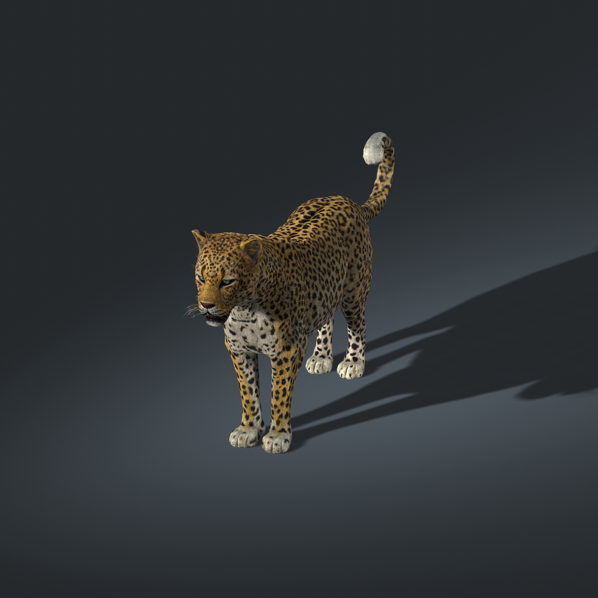 leopard fur 3d model