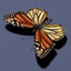 maya photorealistic monarch butterfly