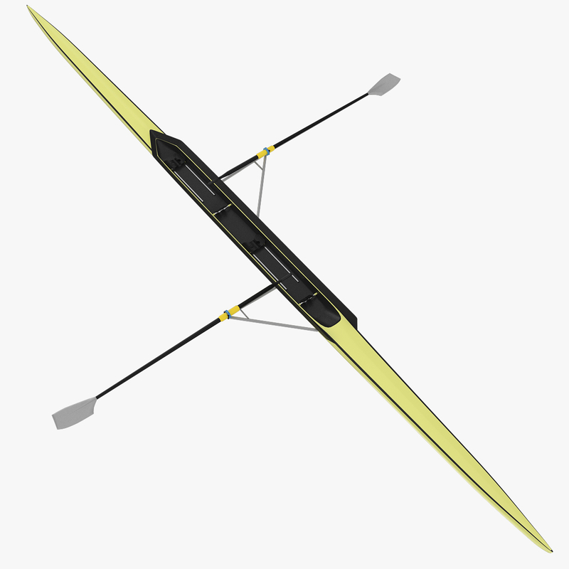 pair oars 3d model