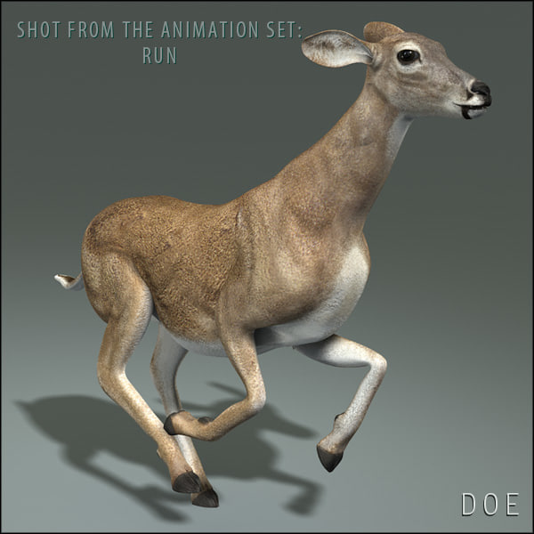 maya doe animation
