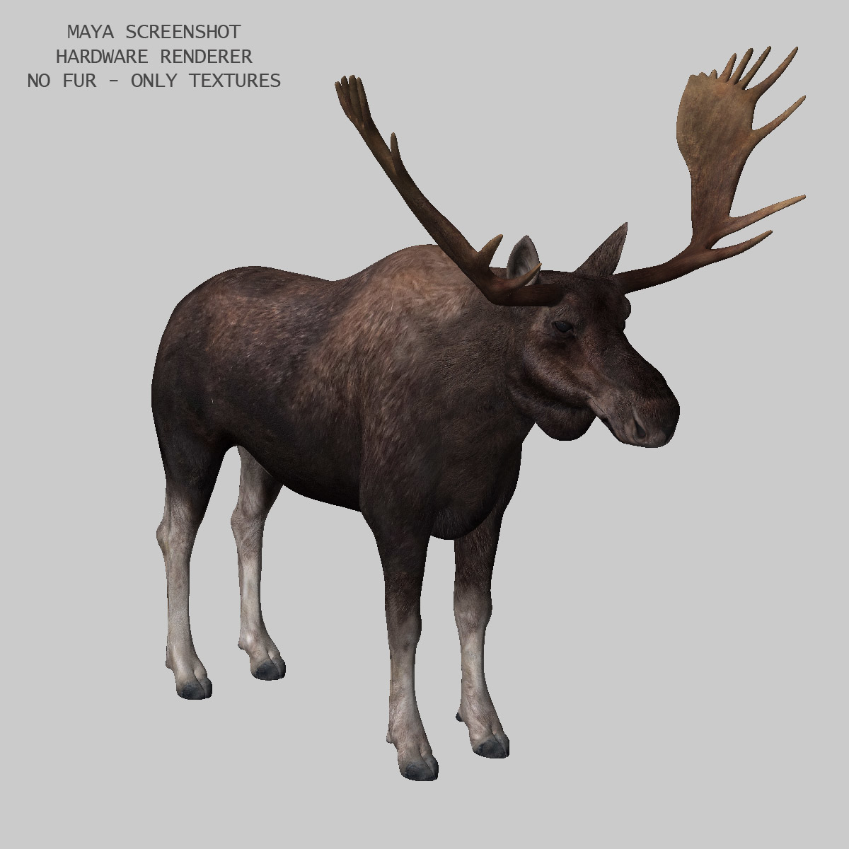 3ds max moose fur