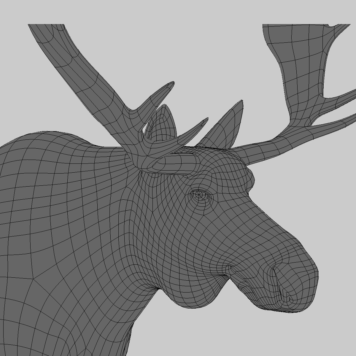 3ds max moose fur