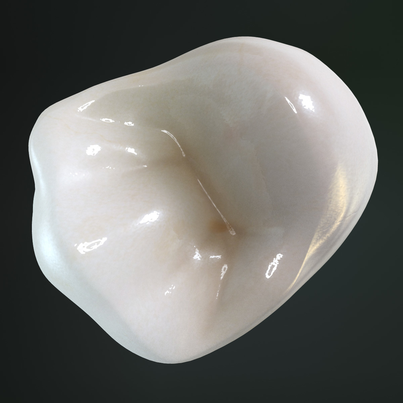 tooth premolar 3d model