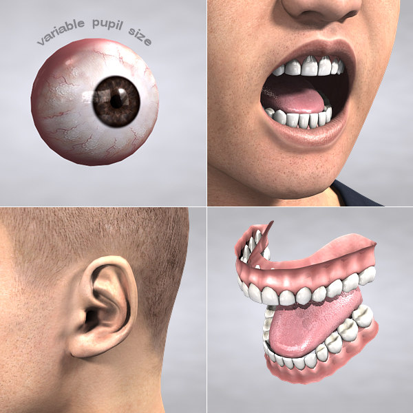 3d model dong asian man