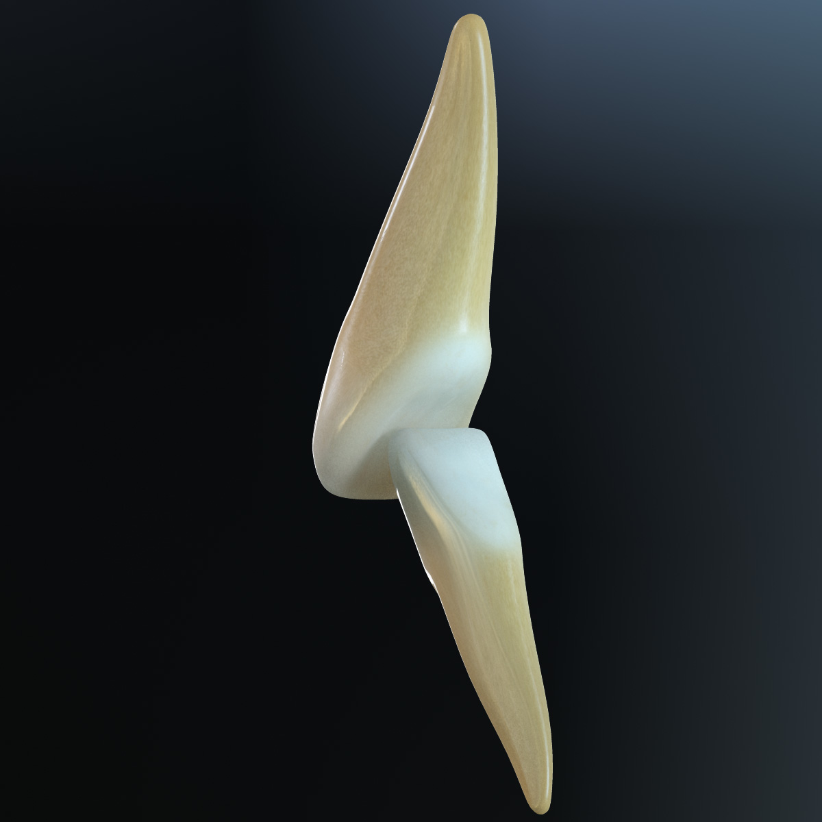 teeth central incisors max