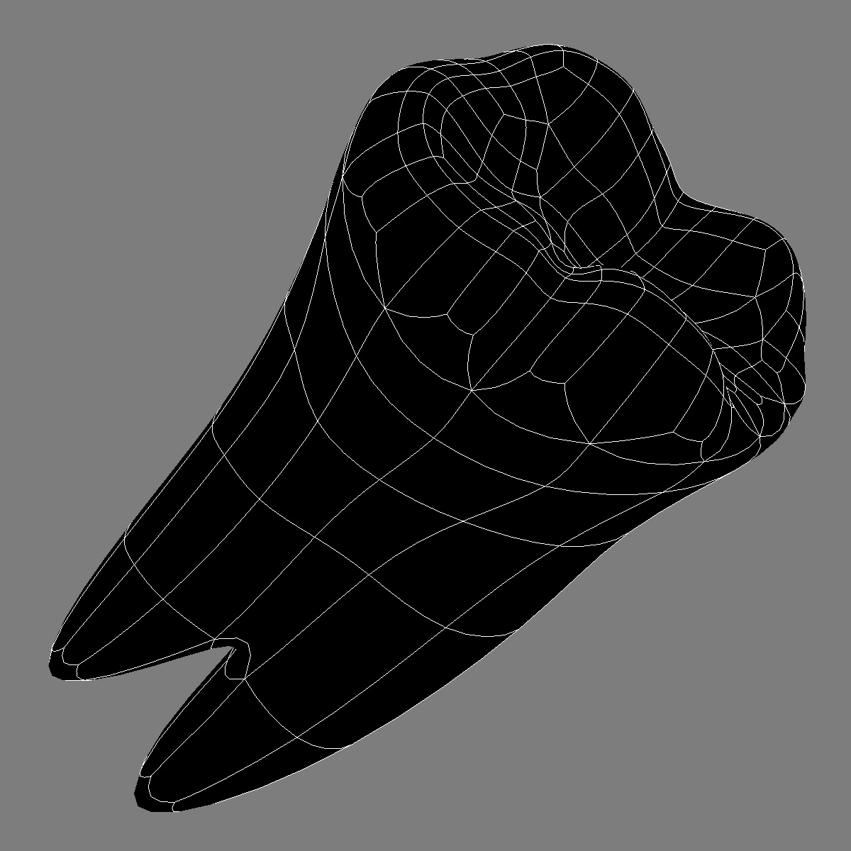 tooth lower molar wisdom 3d model