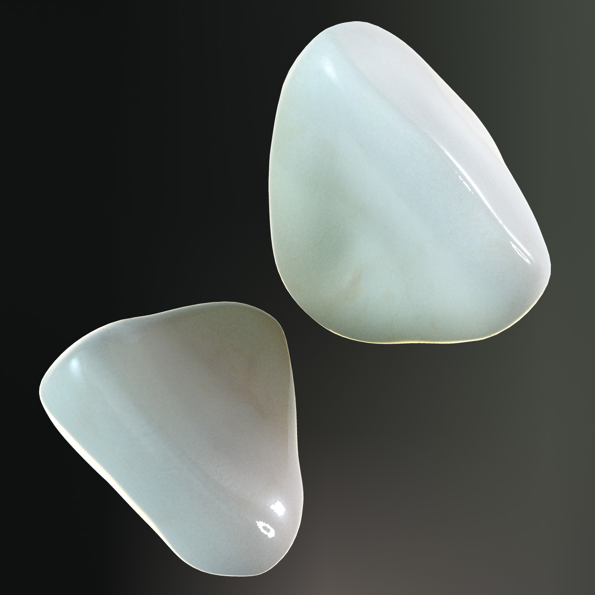 3d model teeth lateral incisors