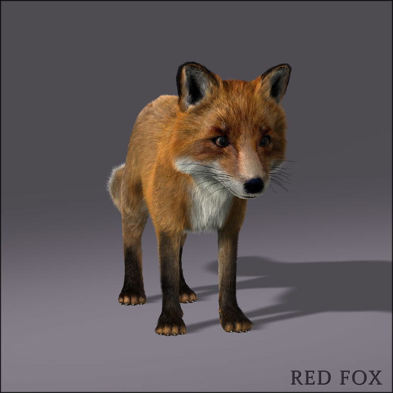 red fox fur 3d model