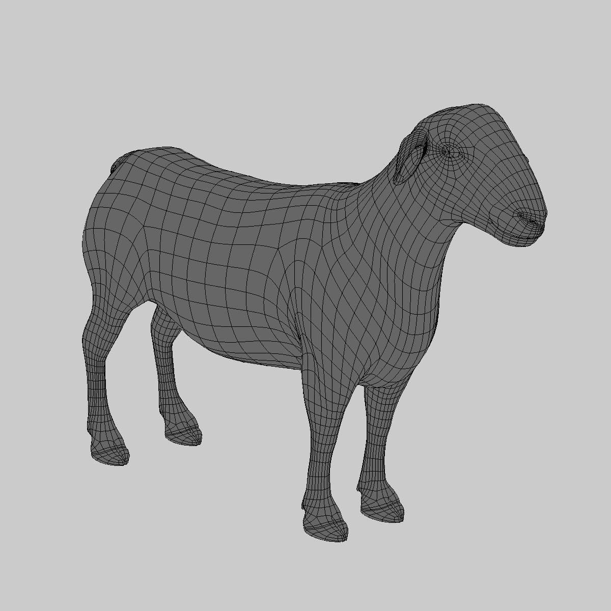 3d sheep fur