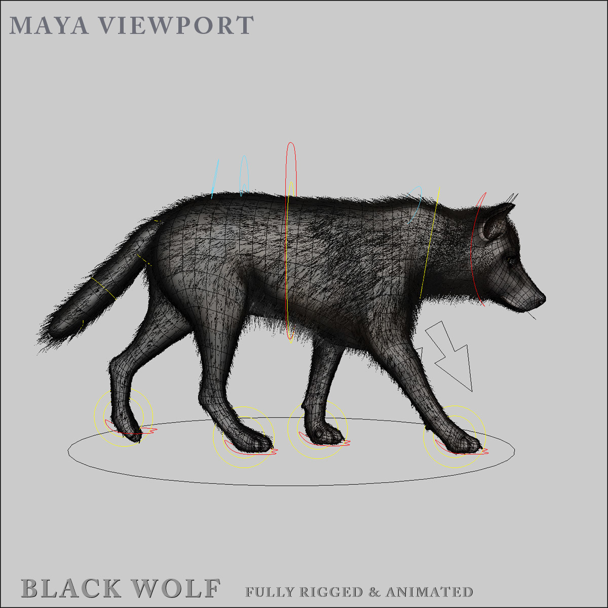 black fur animation wolf 3d ma