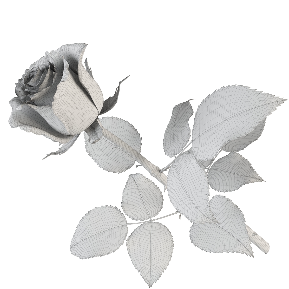vase roses 3d model