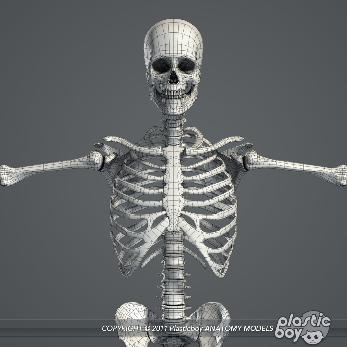 3d human skeletal
