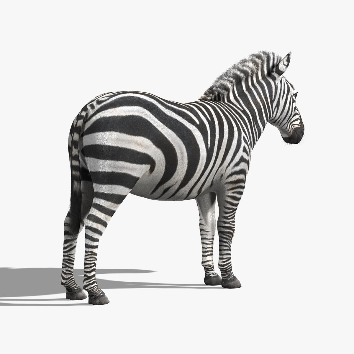 3dsmax photorealistic zebra fur