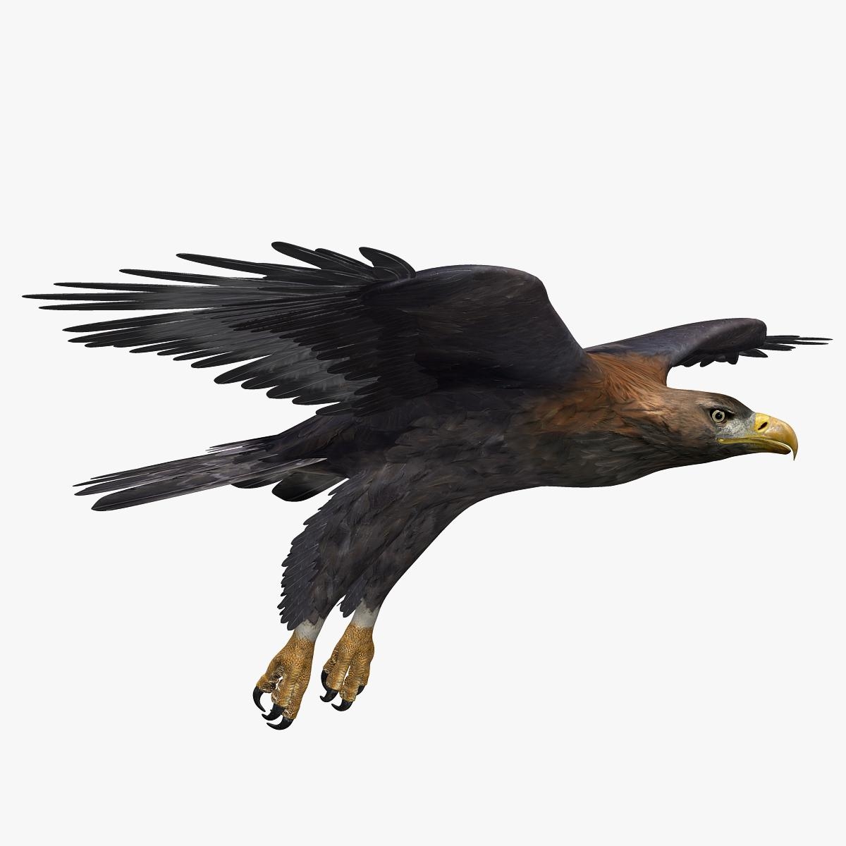 golden eagle 3d model