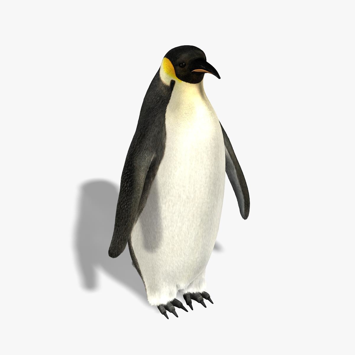 3d penguin fur model