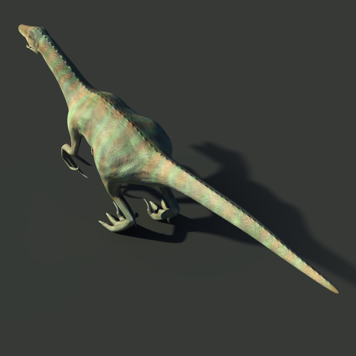dinosaur adasaurus velociraptor 3d model