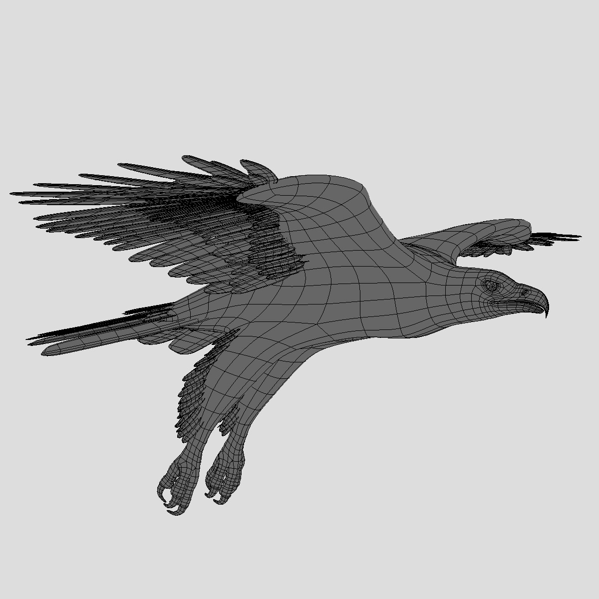 3d american bald eagle animation model