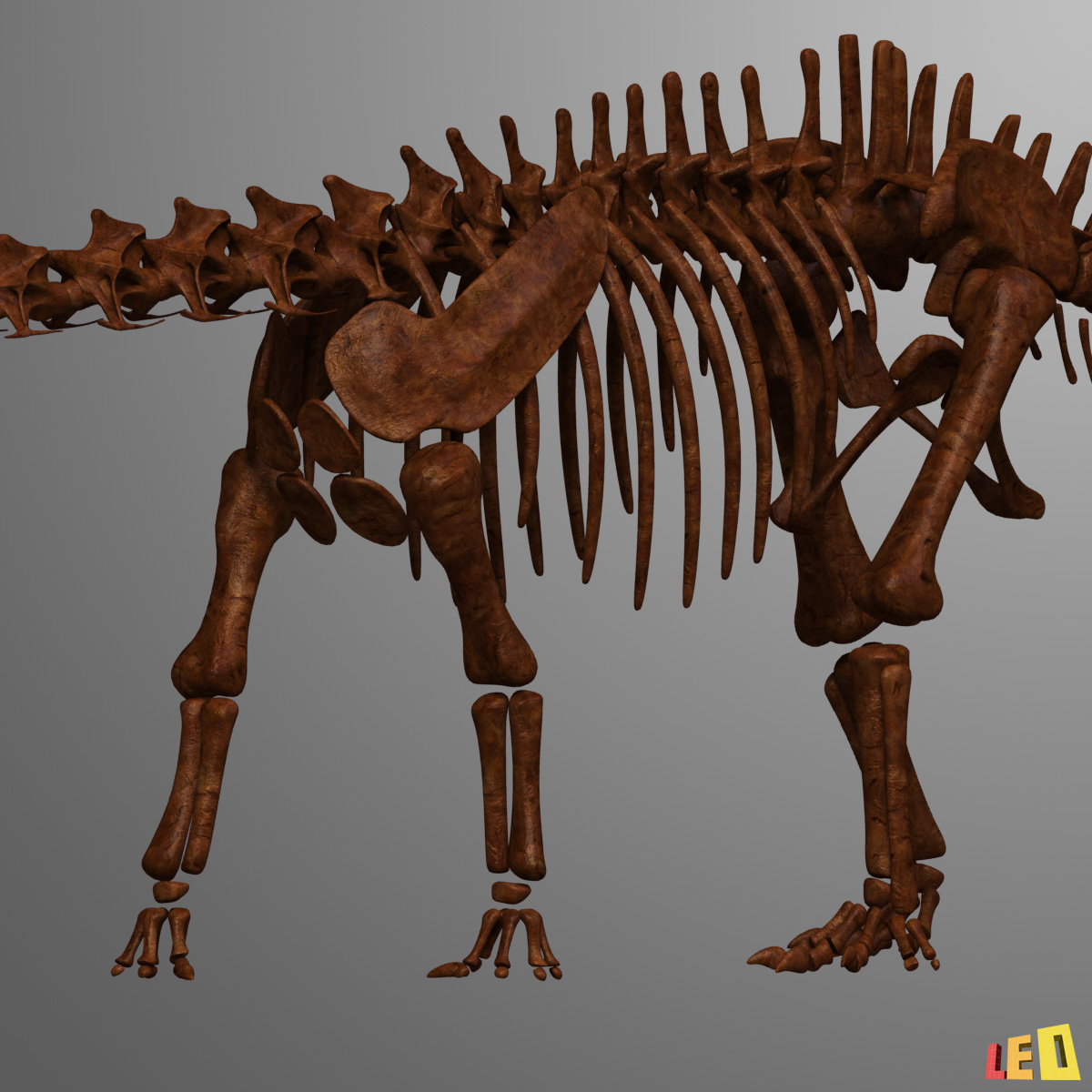 3d dino skeleton diplodocus bones