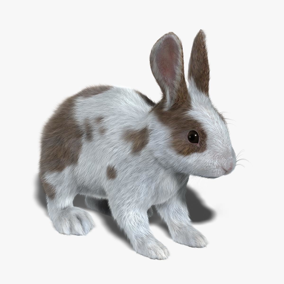 rabbit spotted fur 3d obj