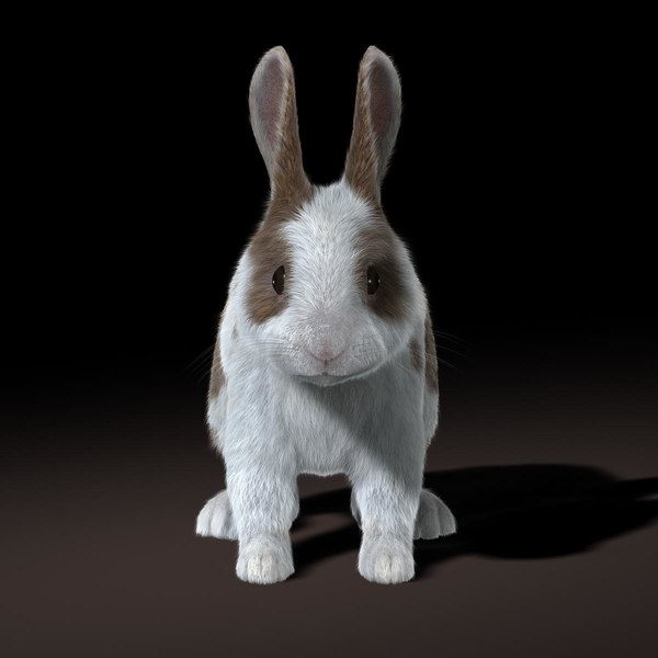 rabbit spotted fur 3d obj