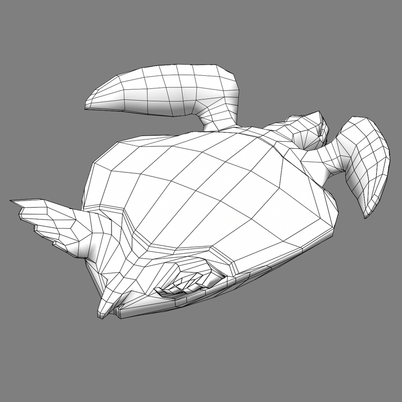 turtle shell 3d model