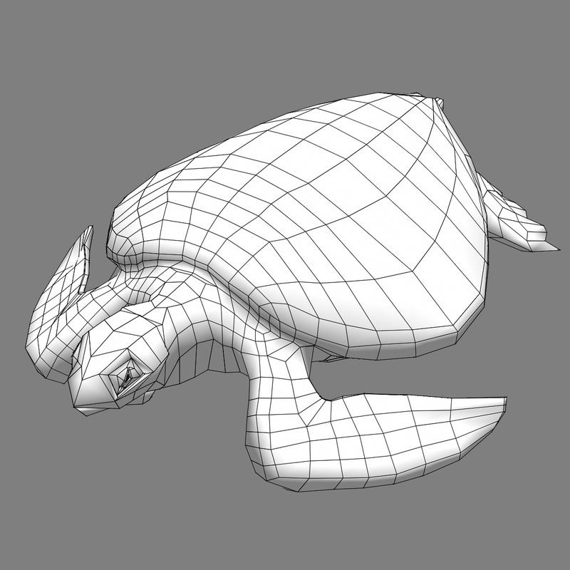 turtle shell 3d model
