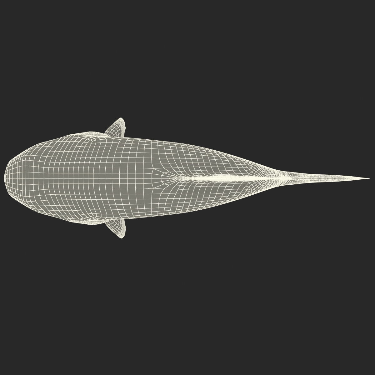 3d piranha modelled