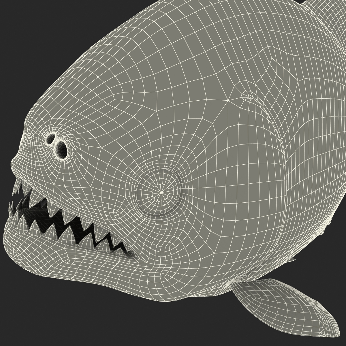 3d piranha modelled