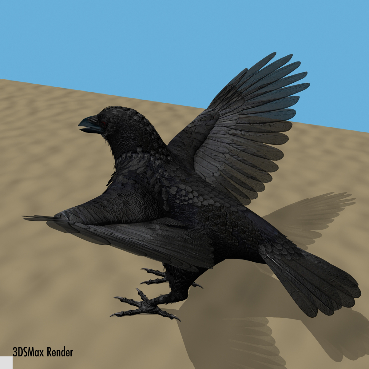 crow rigged lightwave 3d model