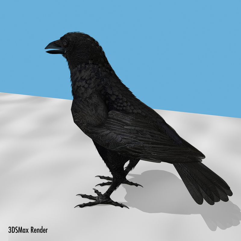 crow rigged lightwave 3d model