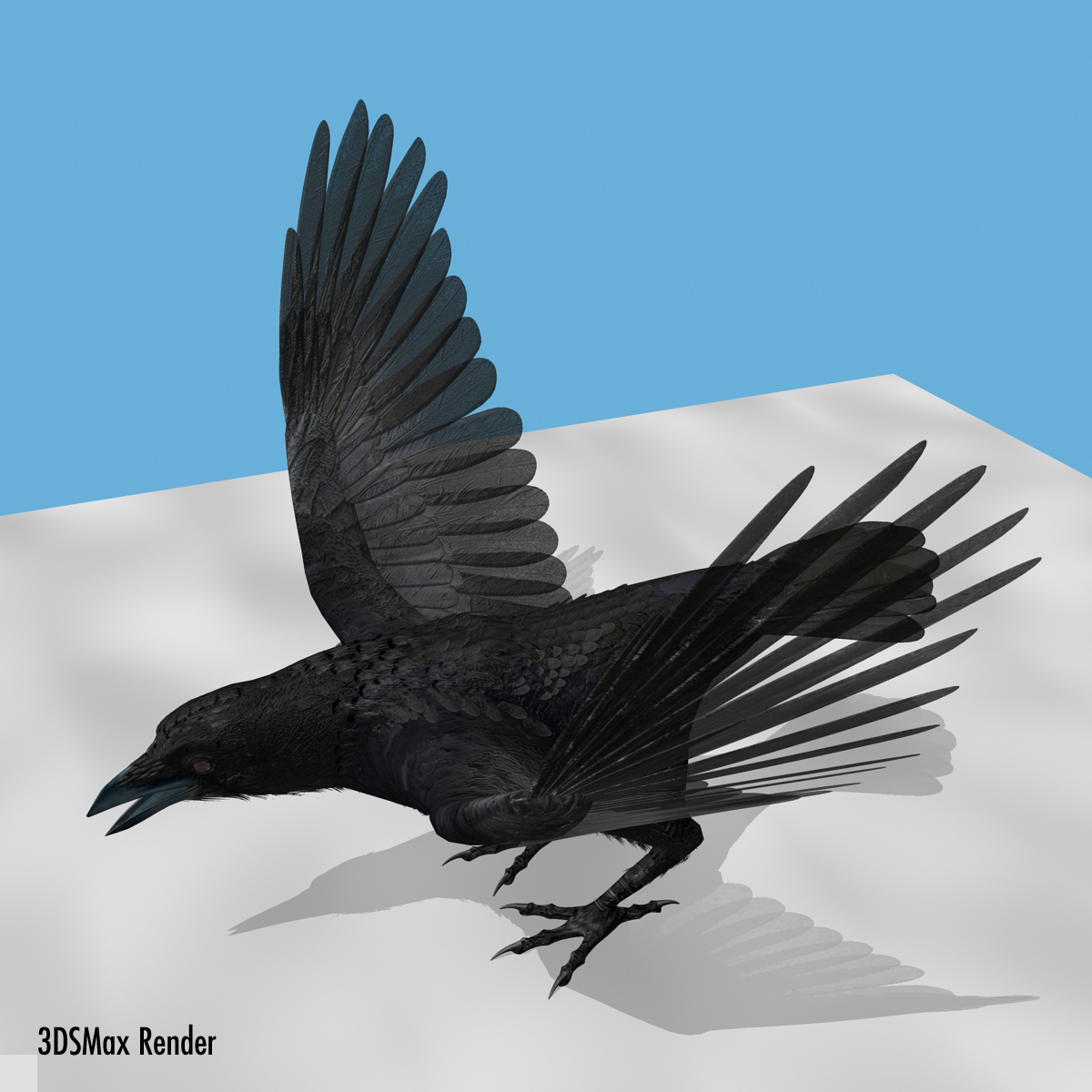 crow rigged lightwave 3d model