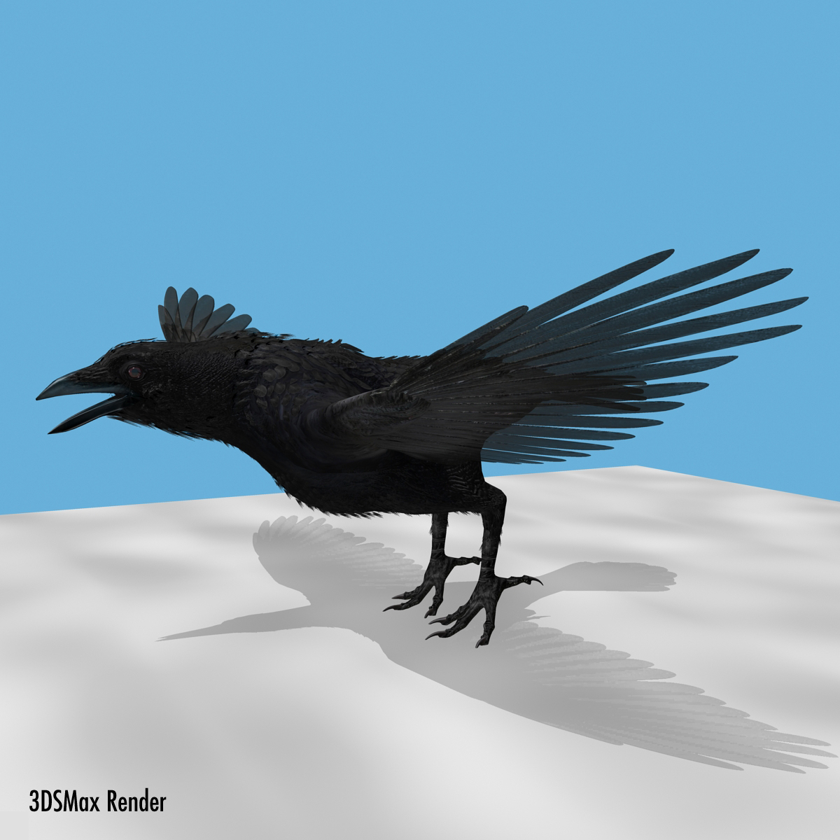 crow rigged lightwave 3d model