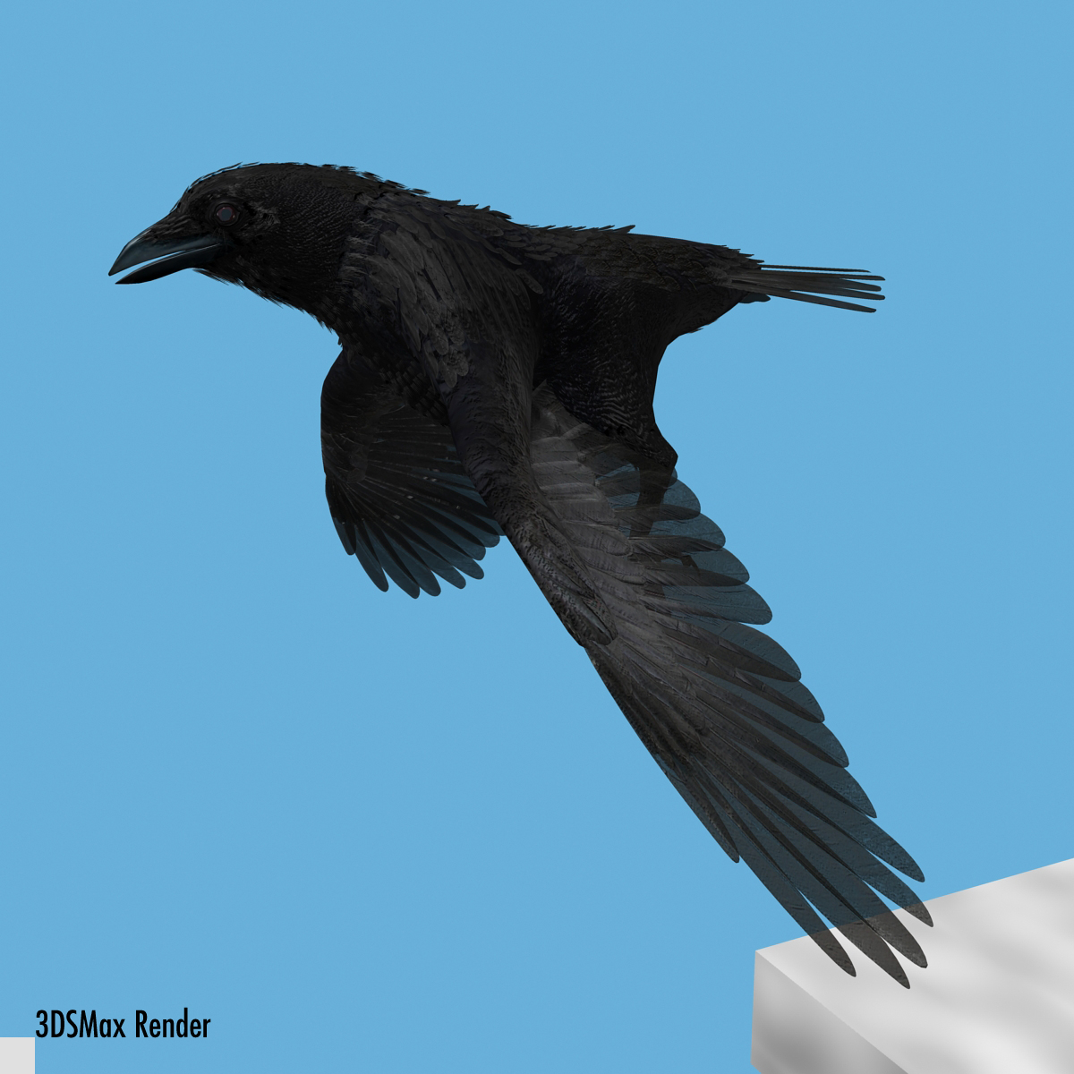 crow rigged lightwave 3d model