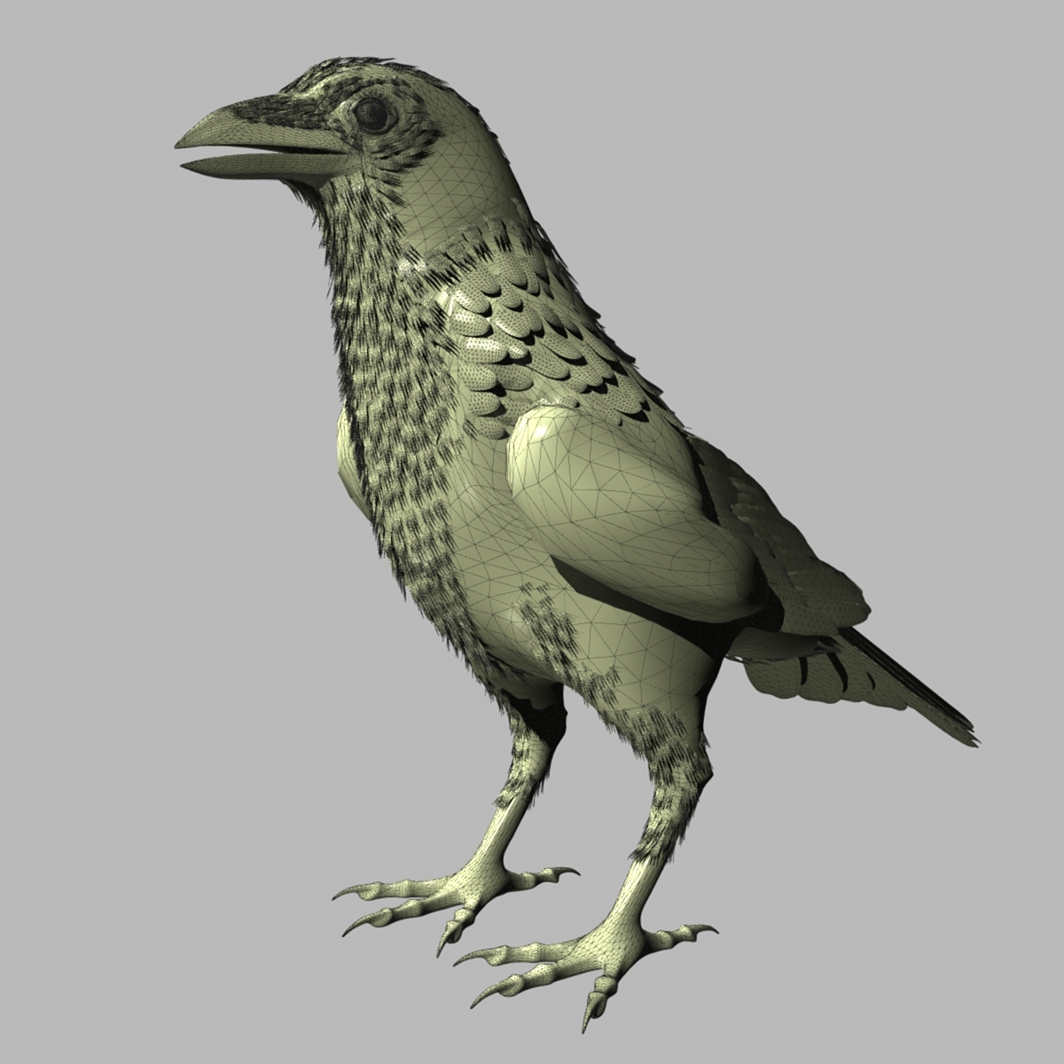 crow rigged lightwave 3d model