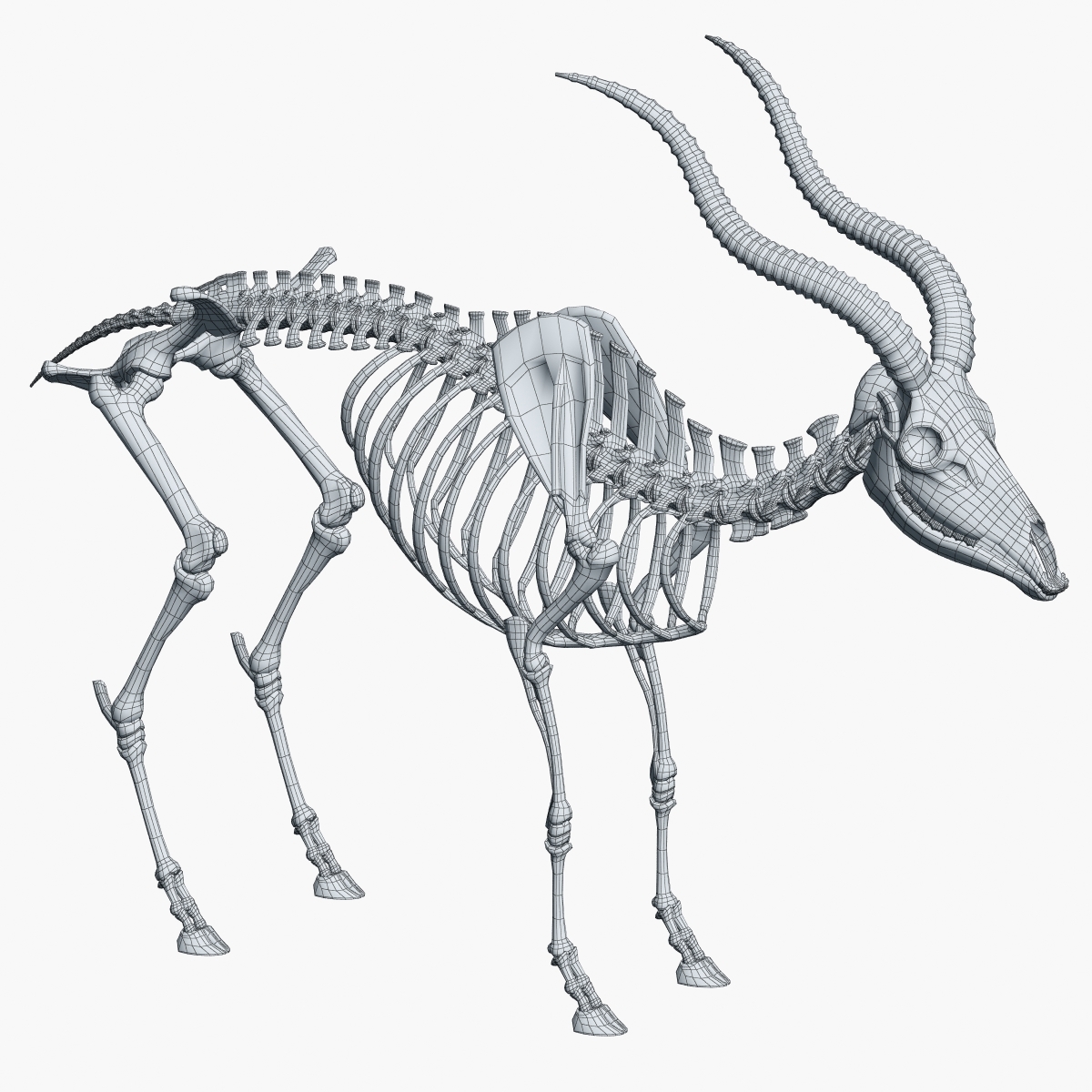 goat skeleton 2 3ds