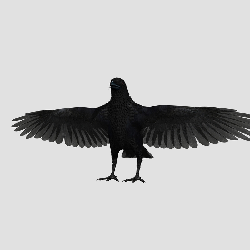 crow rigged lightwave 3d model