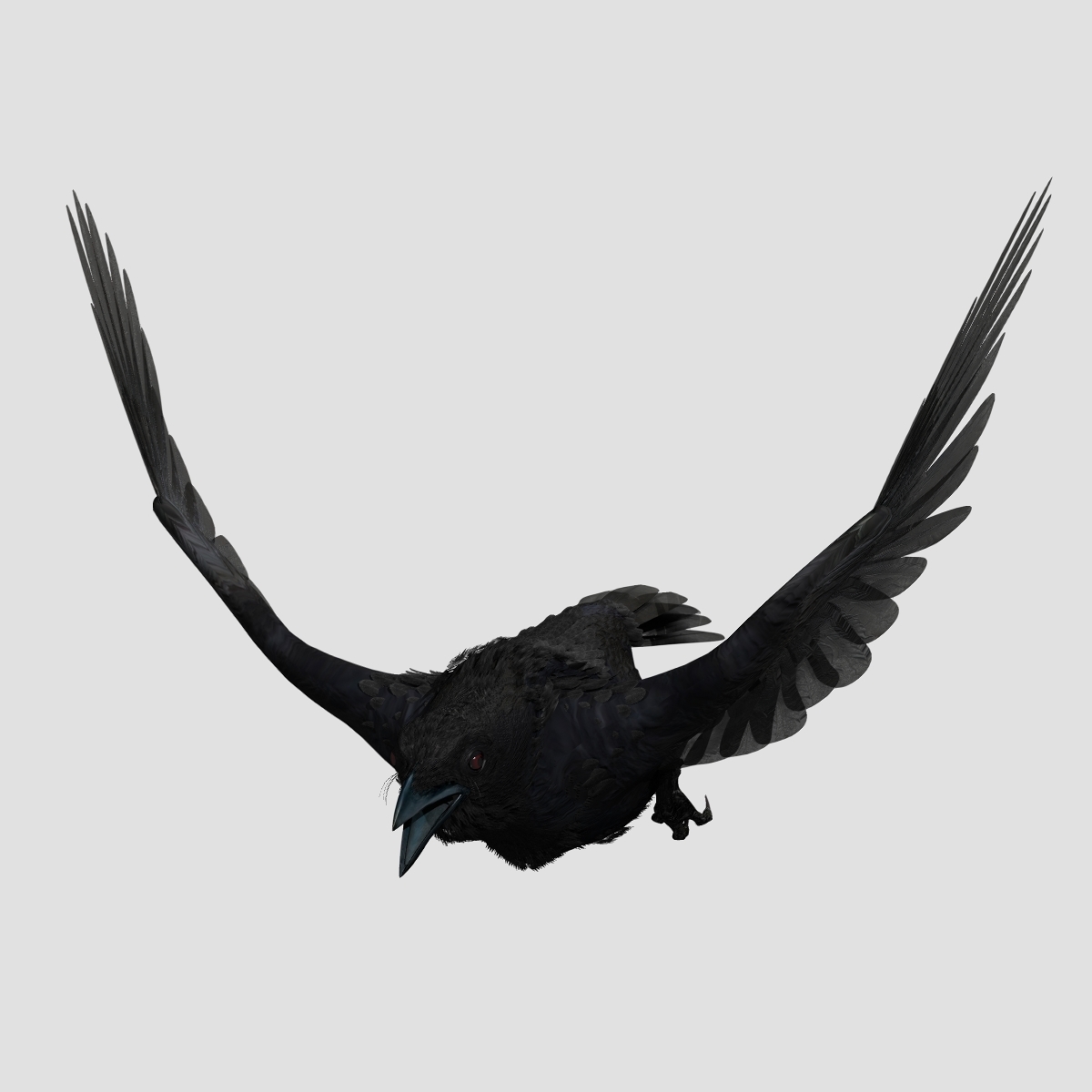 crow rigged lightwave 3d model