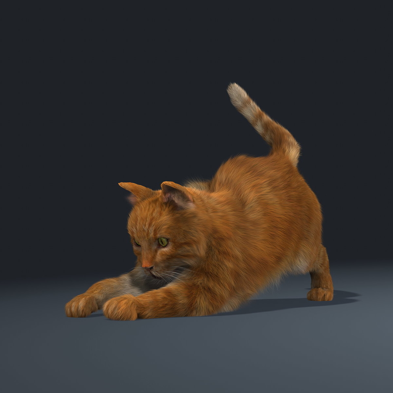 3d model cat orange tabby fur