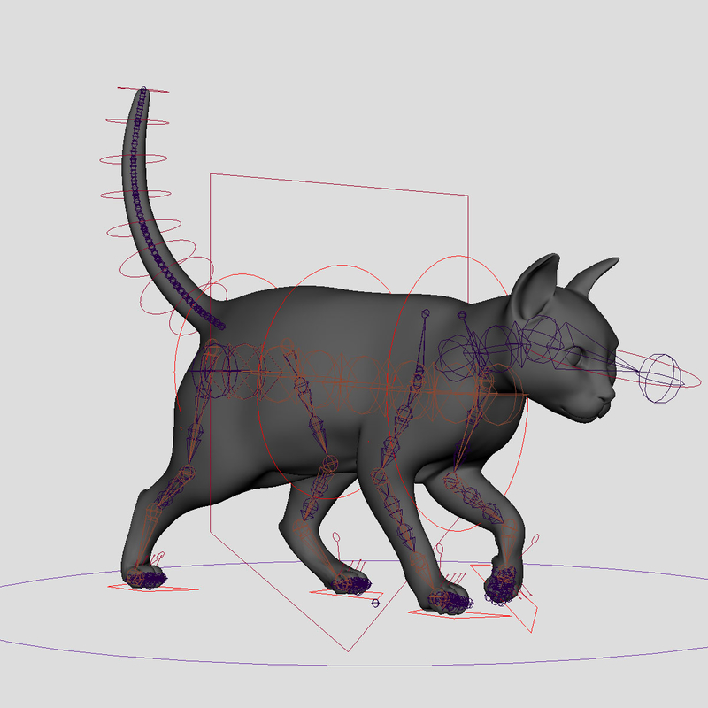 maya cat mackerel tabby fur