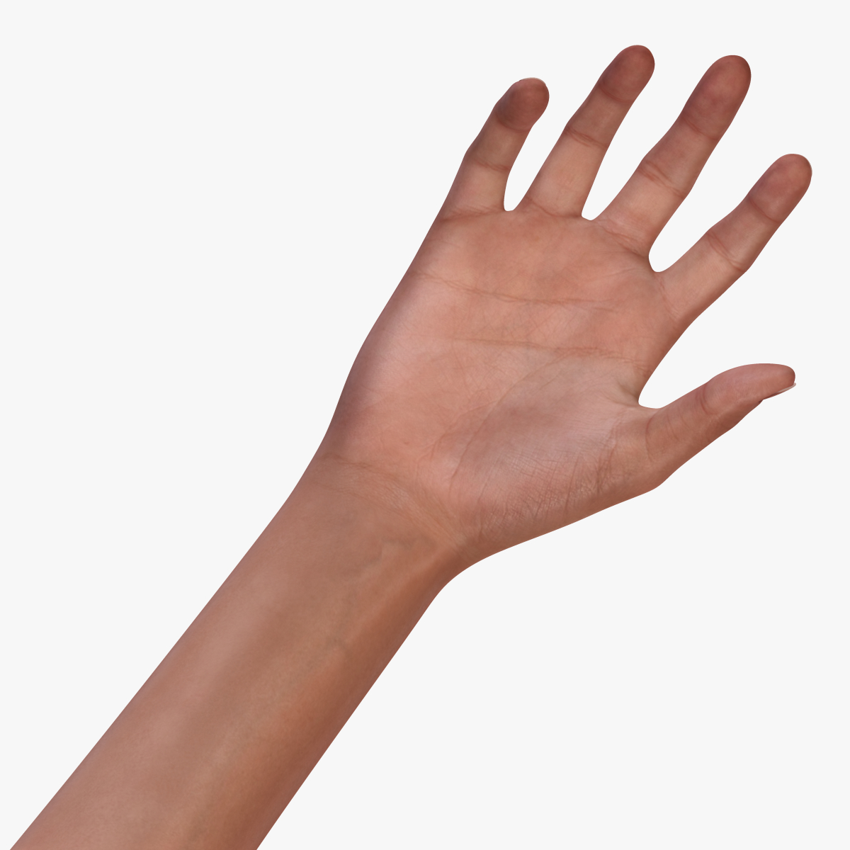 human hand max