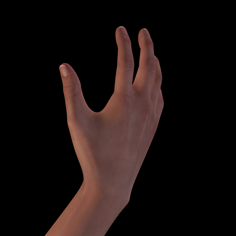 human hand max