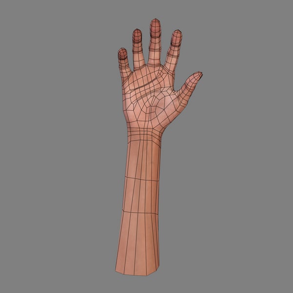 human hand max