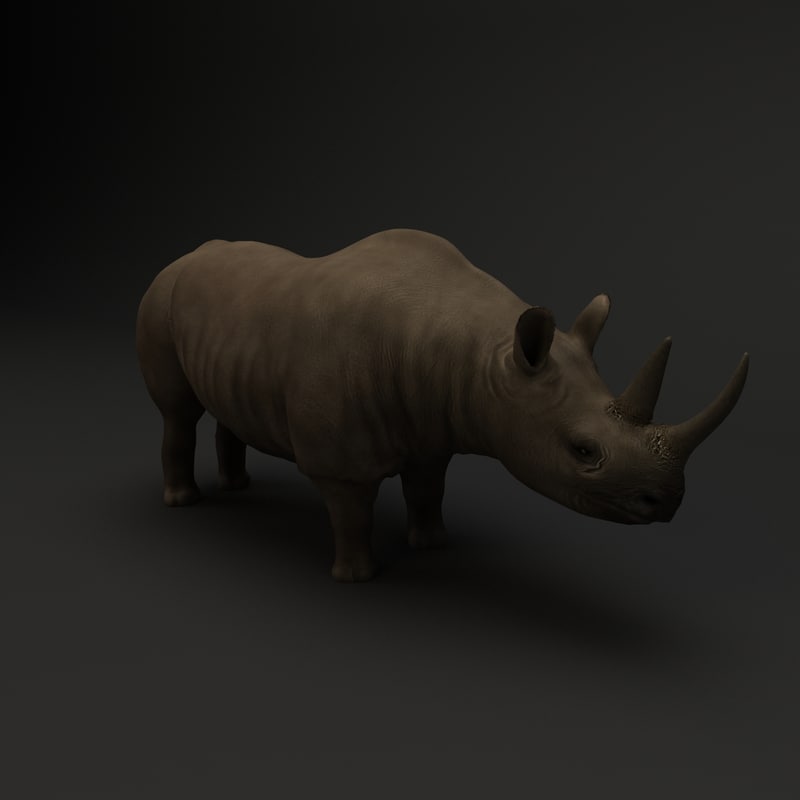 rhino rhinoceros 3d model
