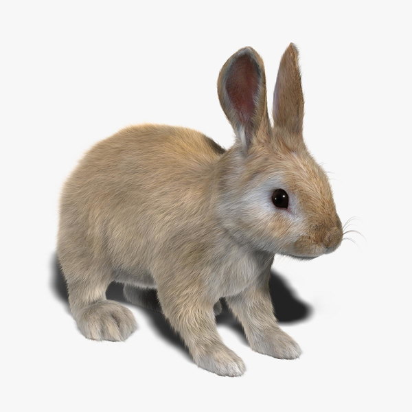 rabbit polygons 3d model