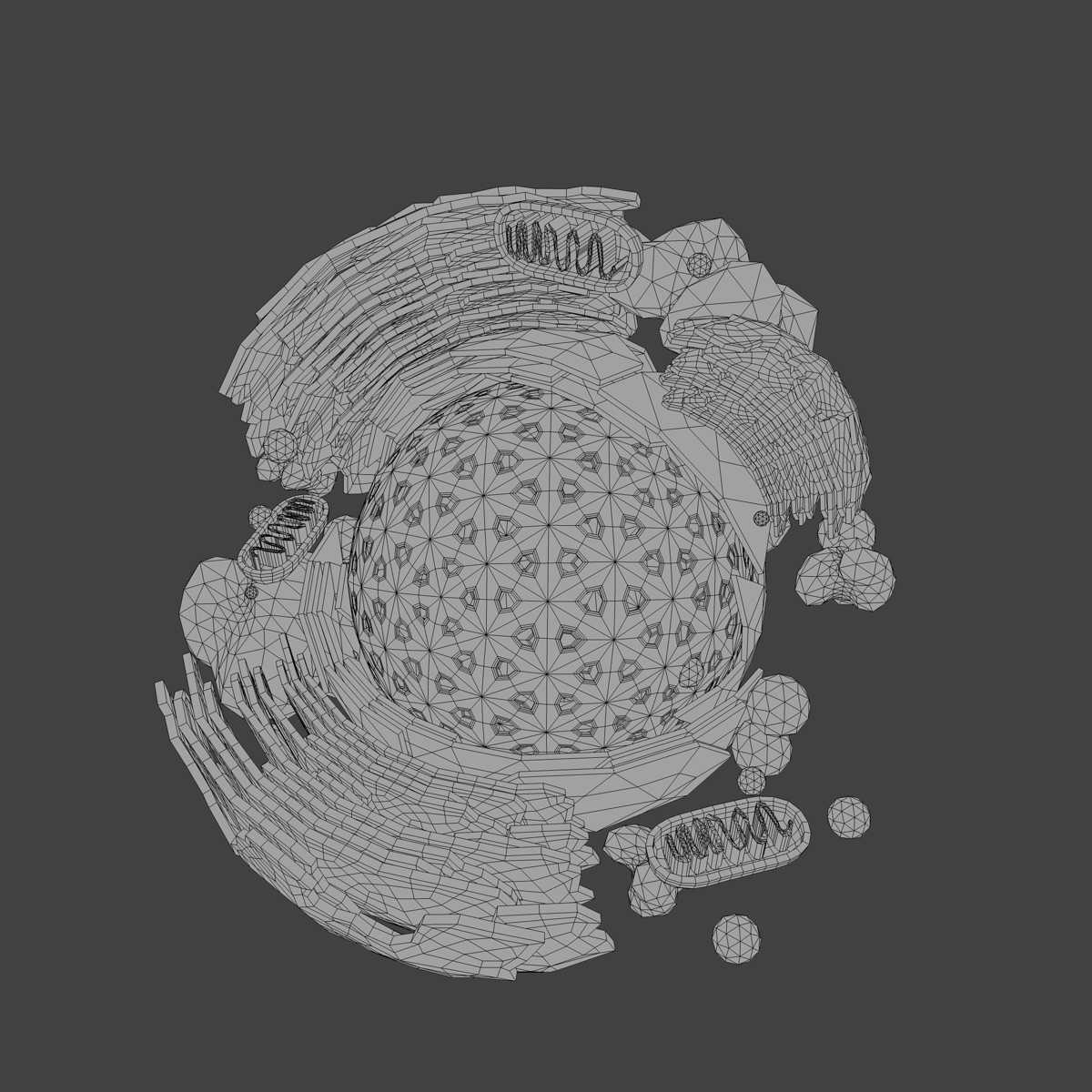 animal eukaryote cell 3d model