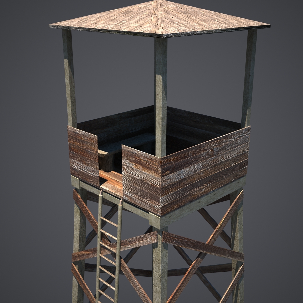hunters watch tower architecture 3d max