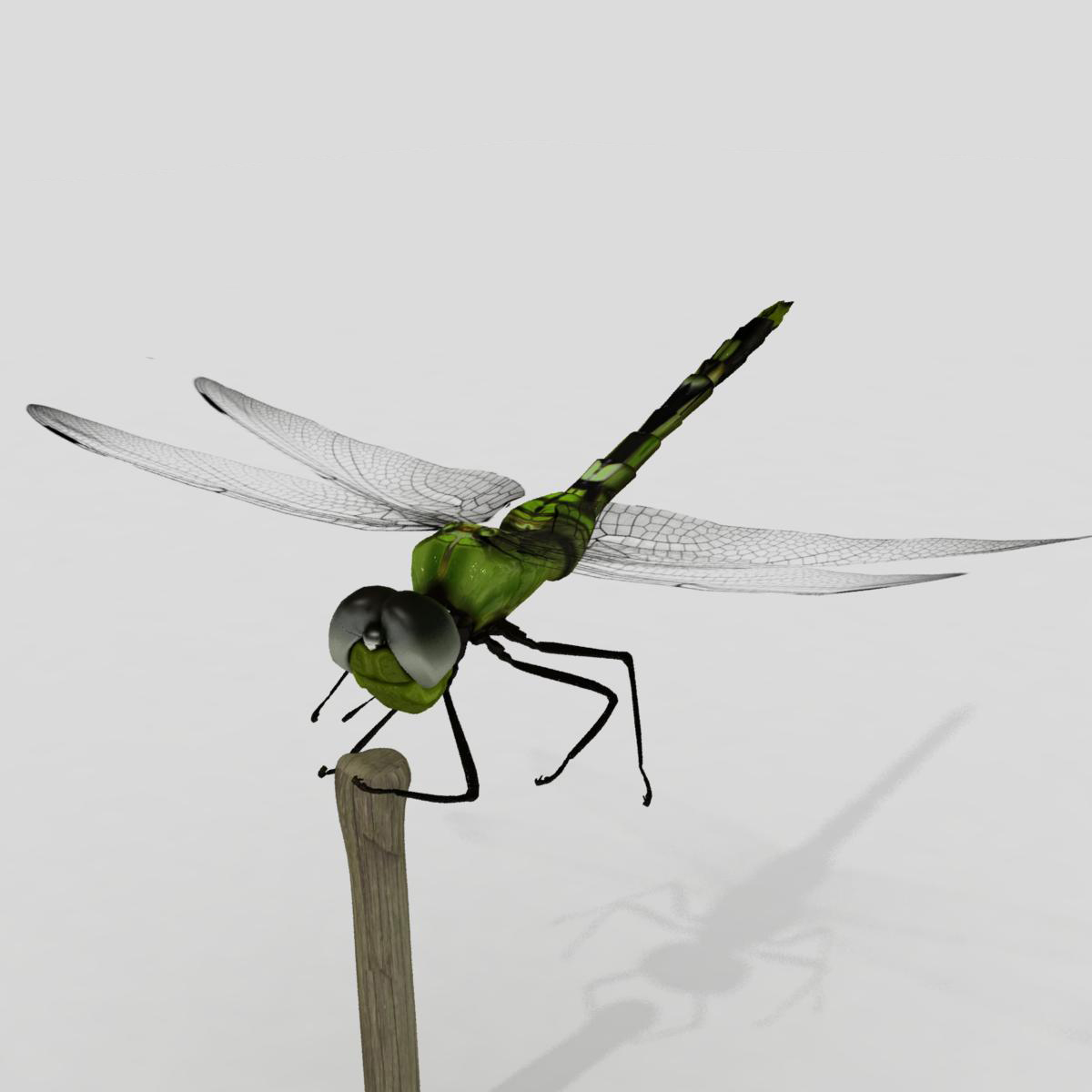 Dragonfly Max