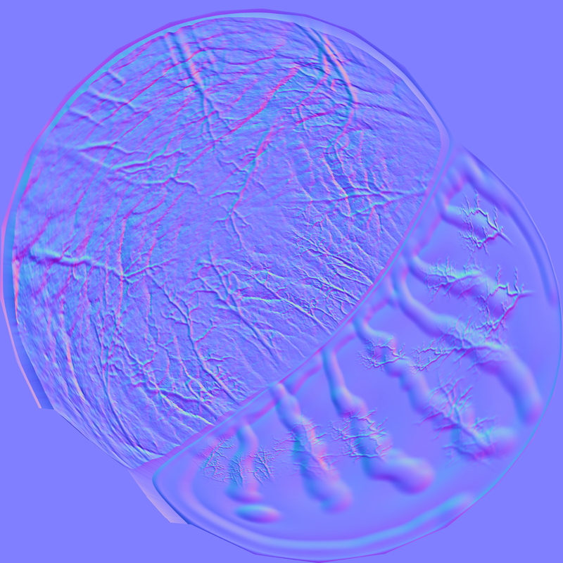 human testis scrotums 3d model