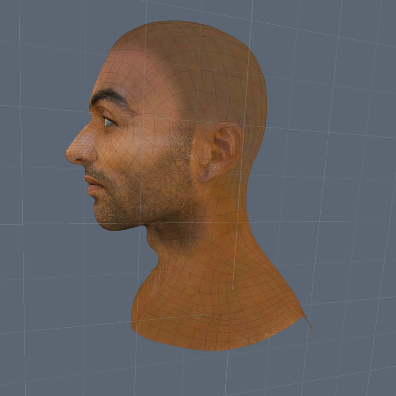 3d male head
