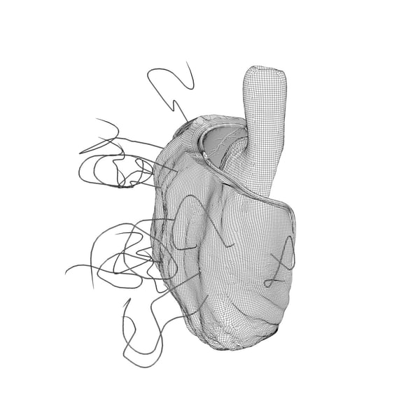 human testis scrotums 3d model